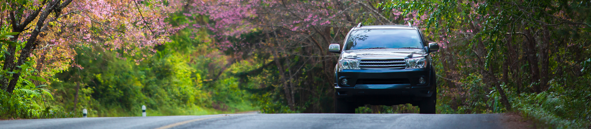 Spring Car Maintenance: The Essentials | Point S