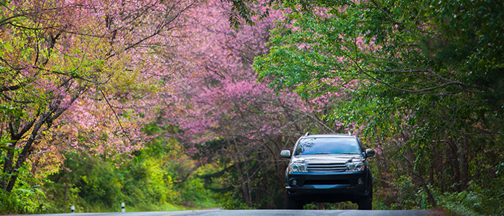 Online winter and summer tires - Auto and Truck repair | Point S