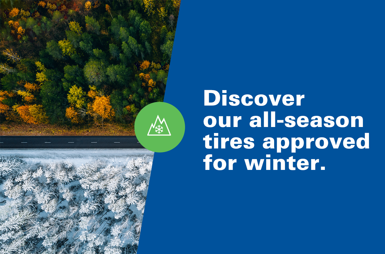 Online winter and summer tires - Auto and Truck repair | Point S