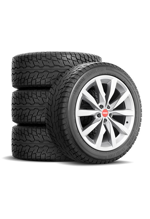 Uniroyal Tiger Paw Ice & Snow 4 - Winter Tire | Point S